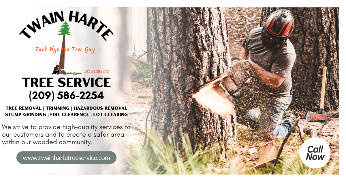 Twain Harte Tree Service - Tree Experts | Twain Harte, CA